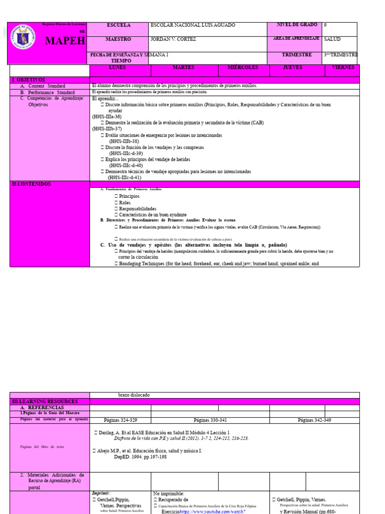 Registro Diario de Lecciones en SALUD 9 | PDF | Primeros auxilios ...