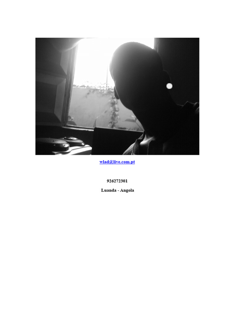 Historical Evolution of Audit in Angola | PDF | Unita | Audit