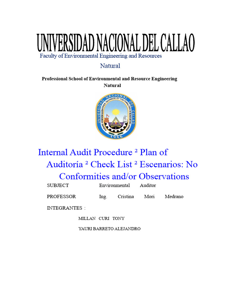 Audit Plan | PDF | Audit | Internal Audit