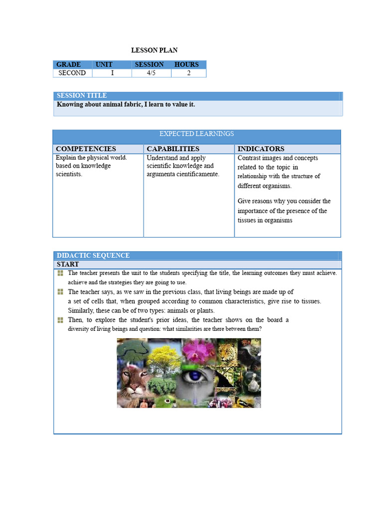 Understanding Animal Tissues in Biology | PDF | Tissue (Biology ...