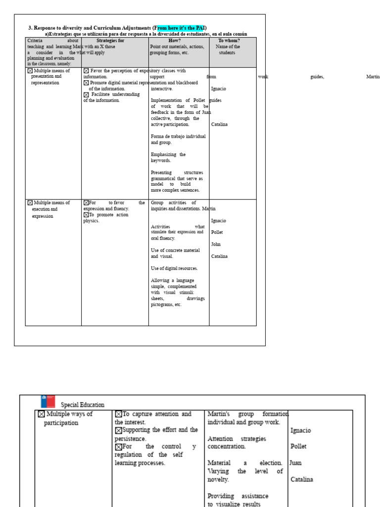 Example PAI (Register Book) | PDF | Curriculum | Special Education