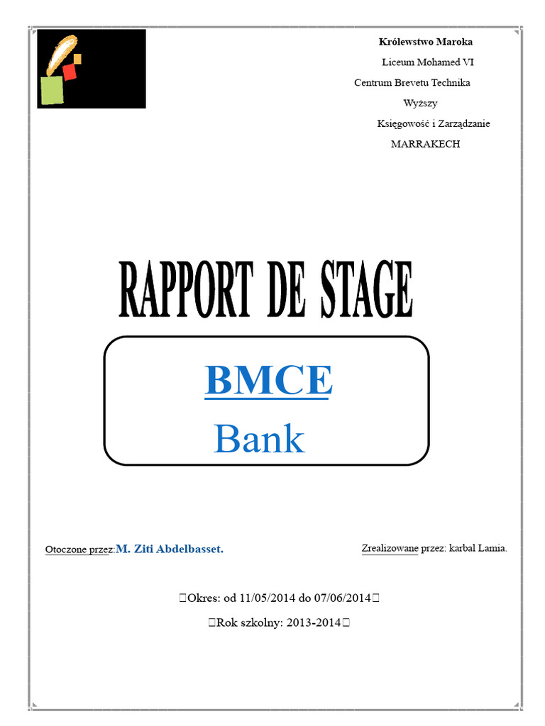 Raport Stażu Bmce | PDF