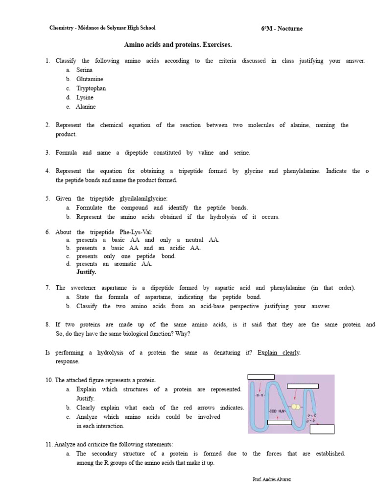 Exercises + Amino Acids + Proteins | PDF | Amino Acid | Proteins