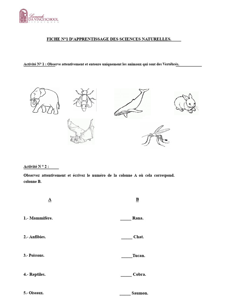 Apprentissage des Vertébrés et Invertébrés | PDF | Poisson | Oiseaux