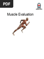 Manual Muscle Test Grading Guide | PDF | Diseases And Disorders ...