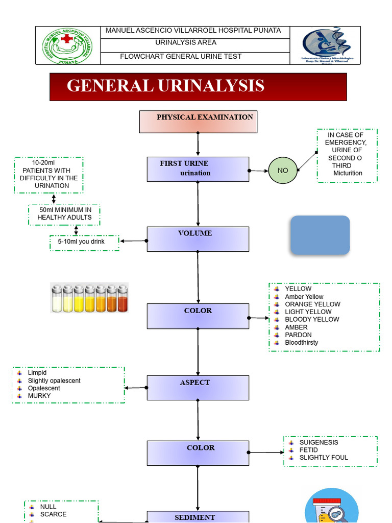 Flowcharts COMPLETED | PDF | Medical Specialties | Clinical Medicine