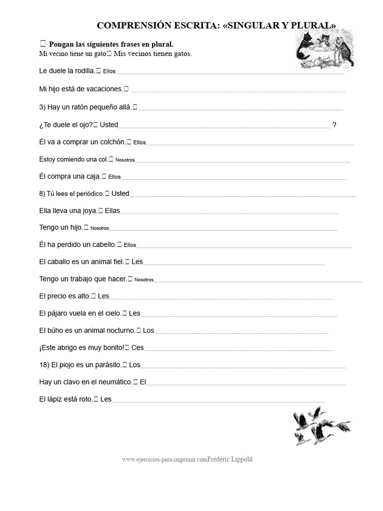 Ejercicios de Singular y Plural en Español | PDF