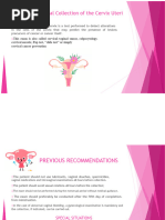 Endometrial Pipelle Biopsy Procedure Guide | PDF