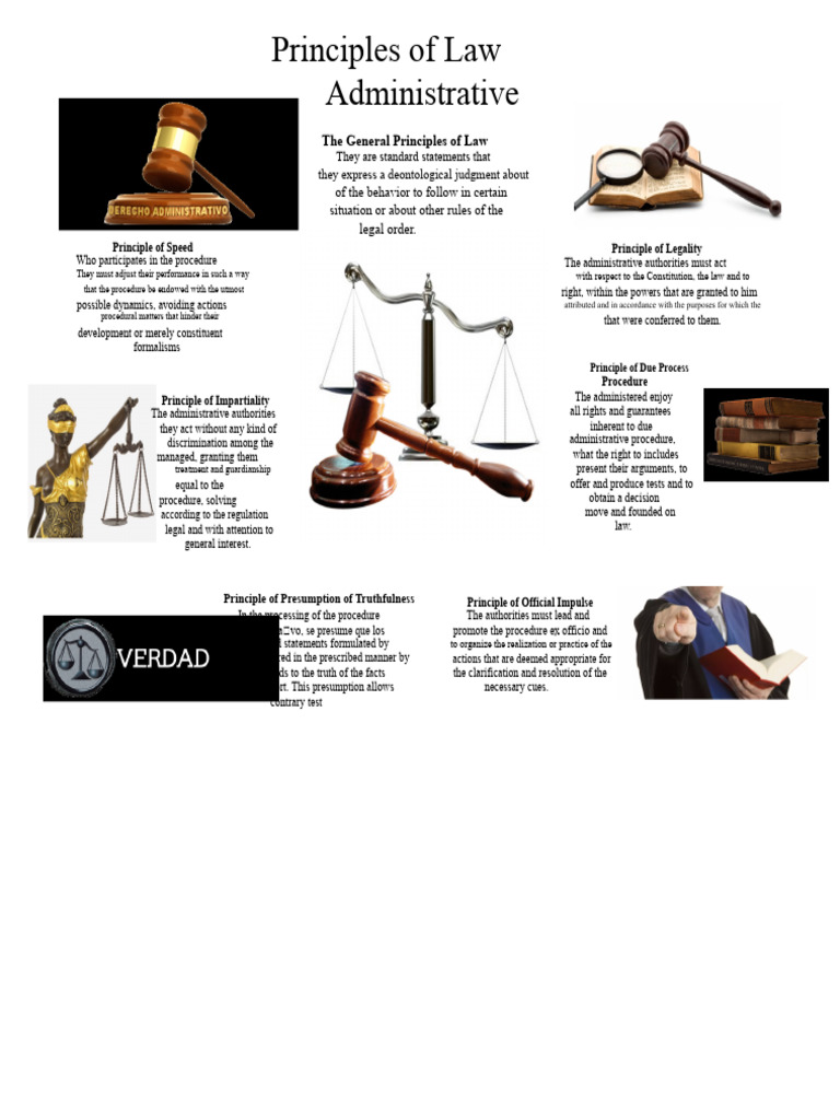 Key Principles of Administrative Law | PDF | Justice | Crime & Violence