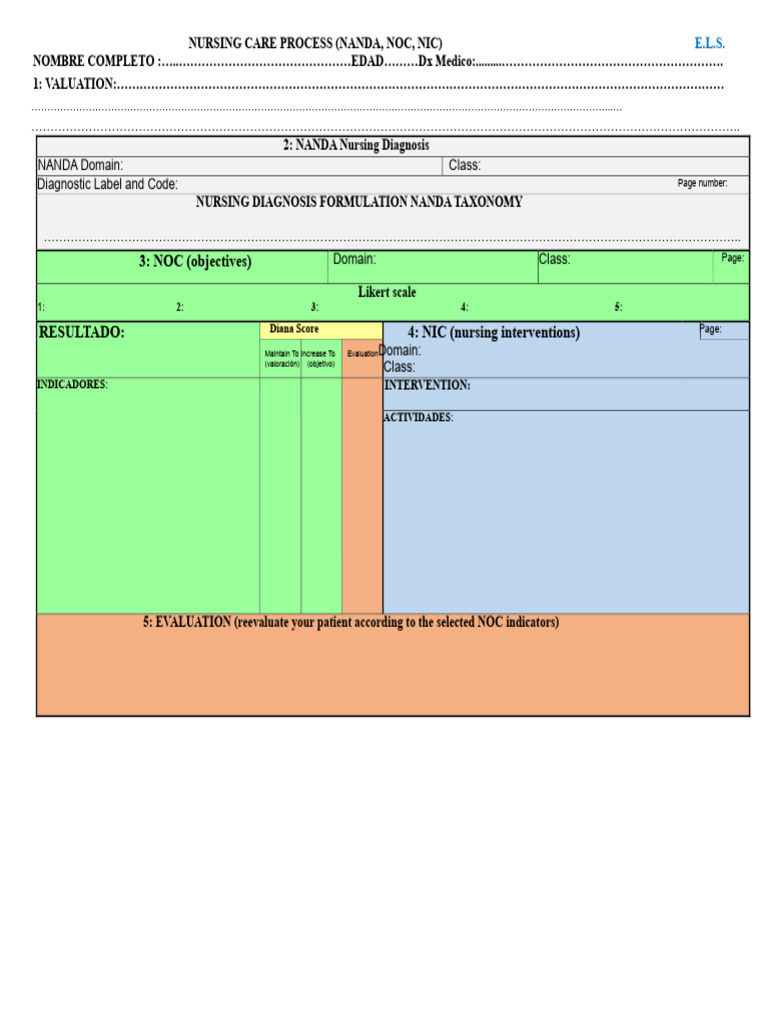 Nursing Care Process: NANDA, NOC, NIC Guide | PDF