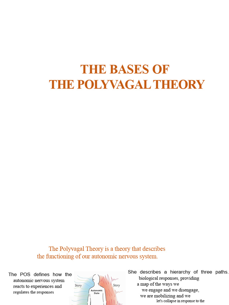 Understanding Polyvagal Theory Basics | PDF | Vagus Nerve | Autonomic ...