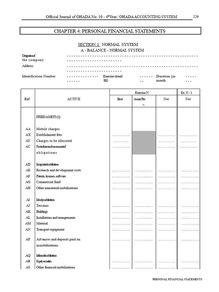 OHADA Financial Statements Model | PDF | Equity (Finance) | Financial ...