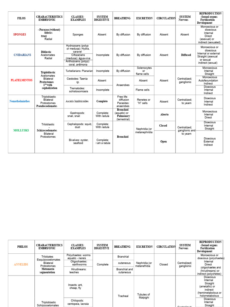 Table - Phyla of The Animal Kingdom | PDF | Zoology | Biology