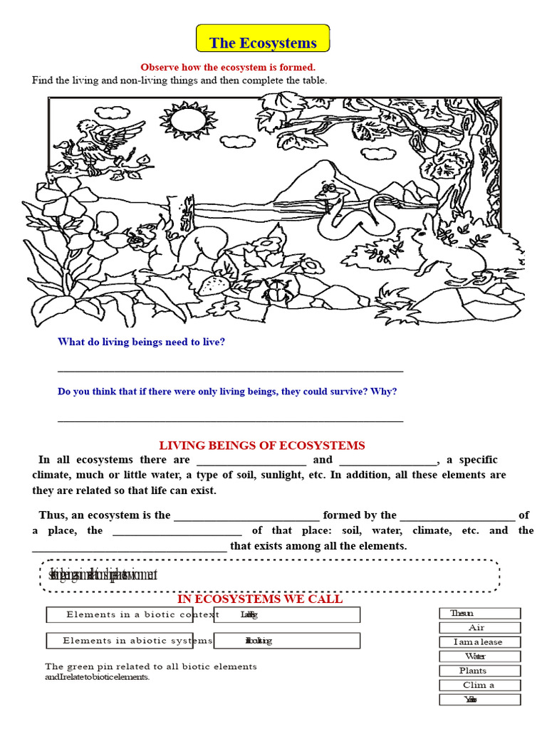 Ecosystems For Third Grade | PDF | Ecosystem | Natural Environment
