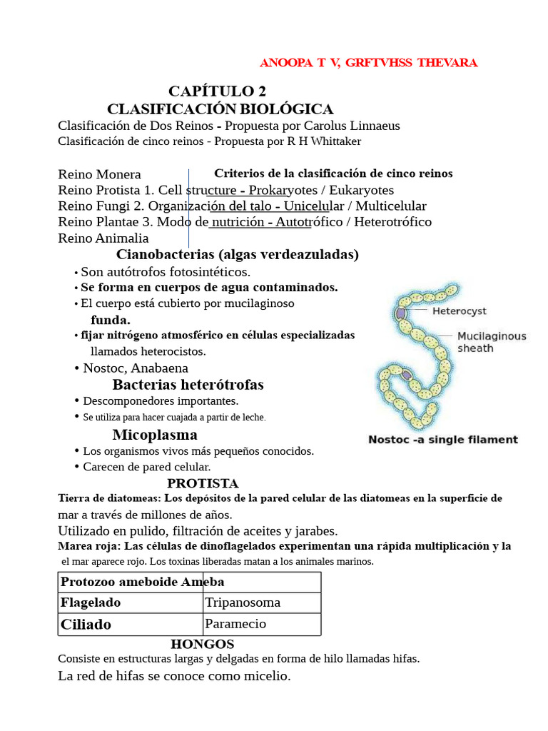 +1 Notas de Cápsula de Botánica | PDF | Mitosis | Mitosis