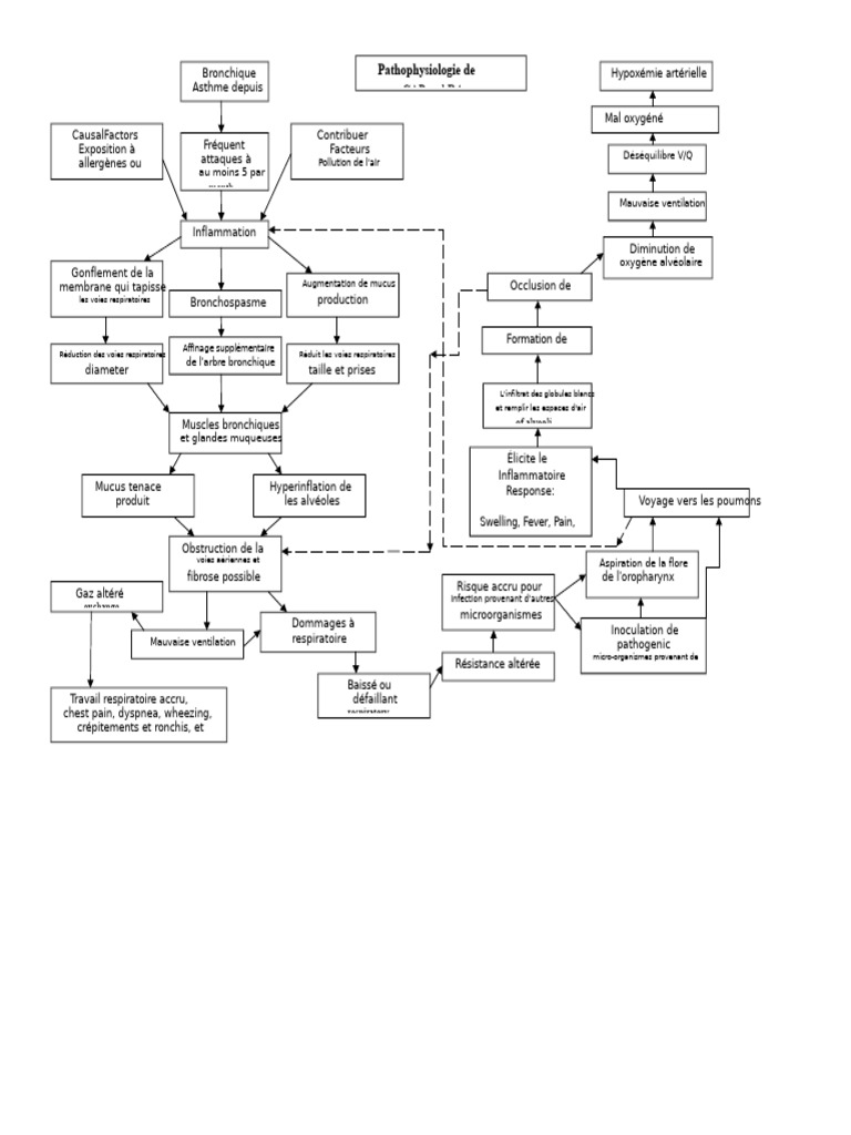 Pathophysiologie de l'asthme et hypoxémie | PDF | Respiration | Asthme