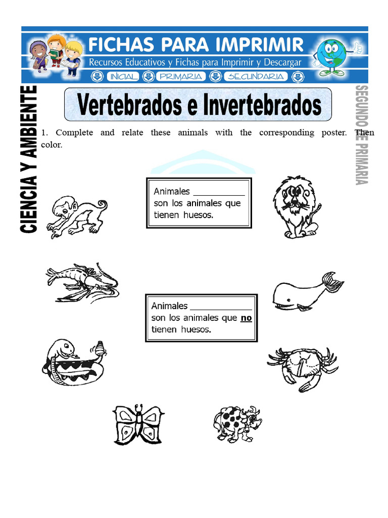 Vertebrates and Invertebrates Worksheet For Second Grade | PDF