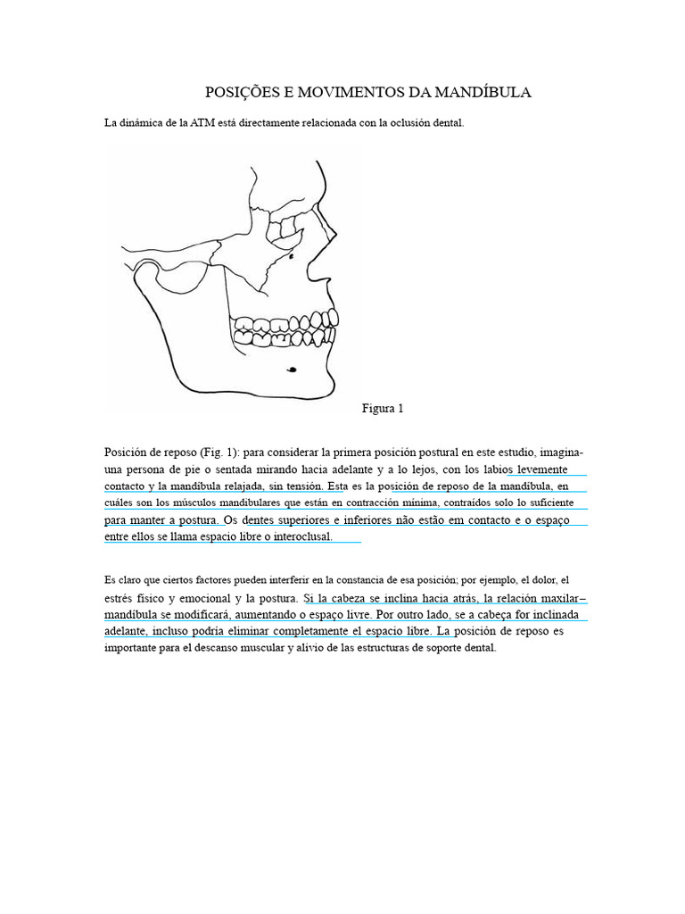 Dinámica Y Movimientos De La Mandíbula Pdf Boca Eje