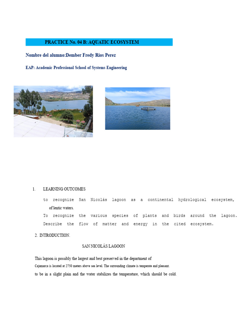 San Nicolás Lagoon Ecosystem Overview | PDF | Foods | Biodiversity