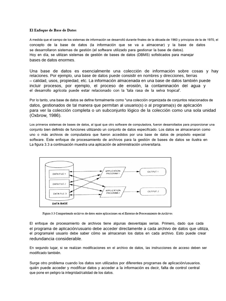 El Enfoque de Base de Datos | PDF | Bases de datos | Archivo de computadora