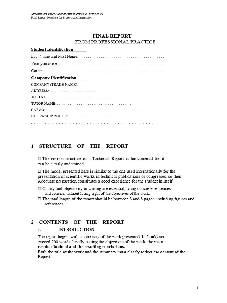 Professional Internship Report Template | PDF