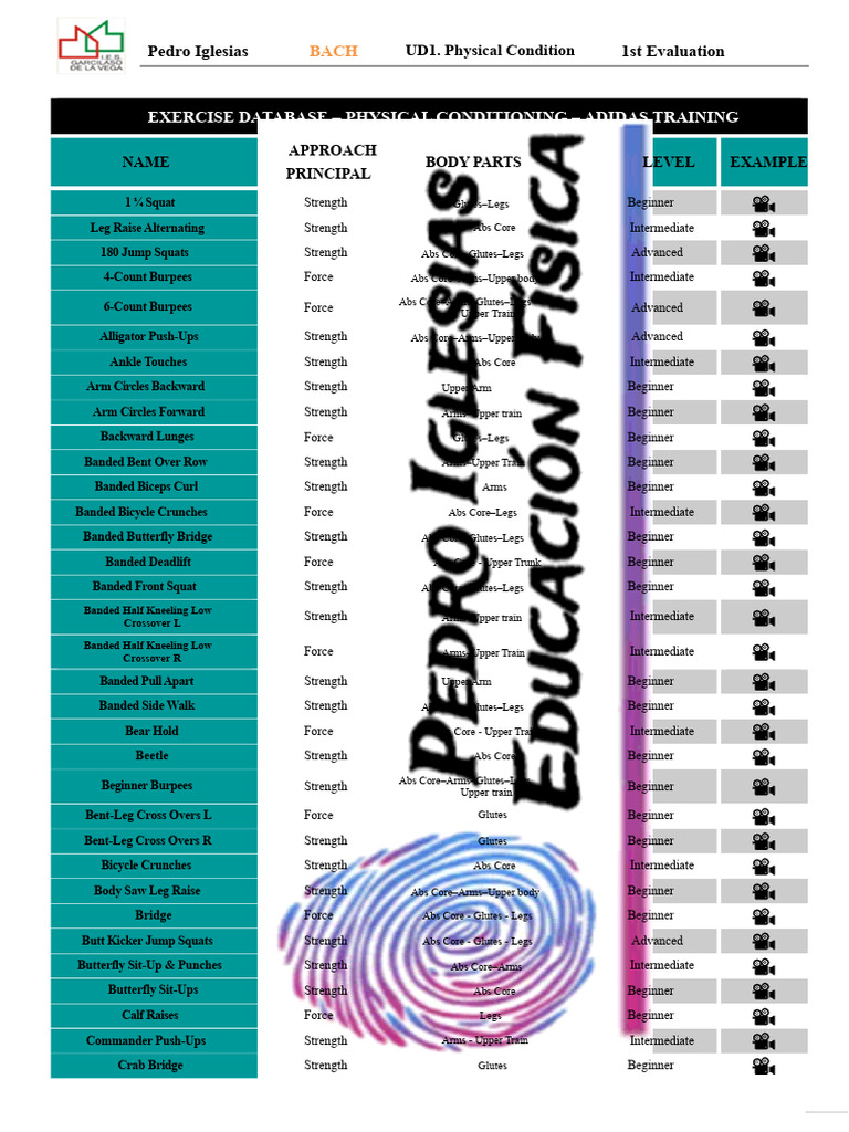 Adidas Training Exercise Database | PDF | Musculoskeletal System ...