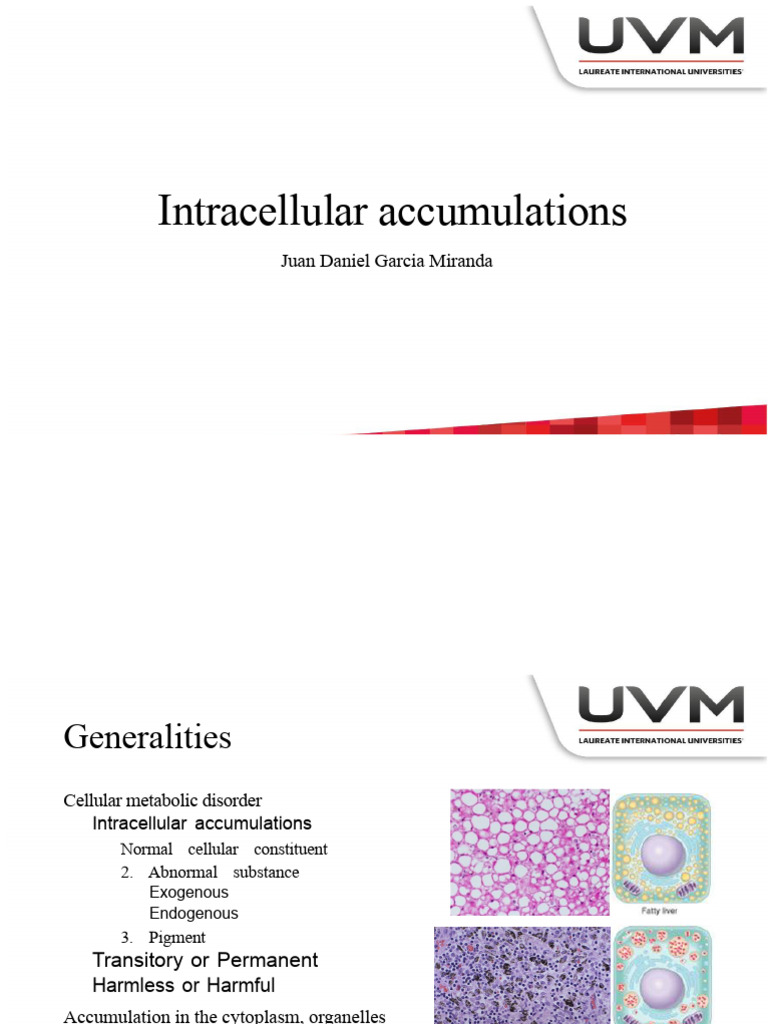 Intracellular Accumulations (Pathology-Robin) | PDF | Senescence | Anatomy