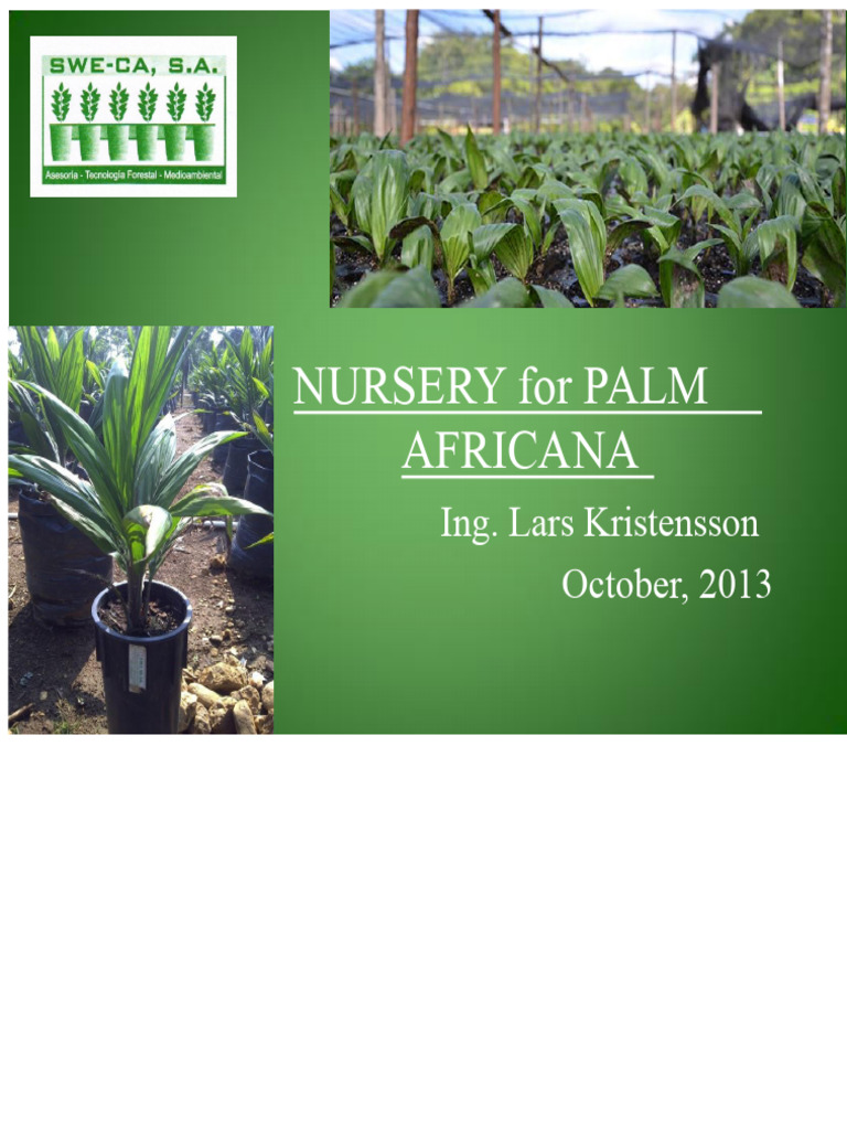 NURSERY For AFRICAN PALM November 2013 SWE-CA, S PDF | PDF | Plant Nursery | Agriculture