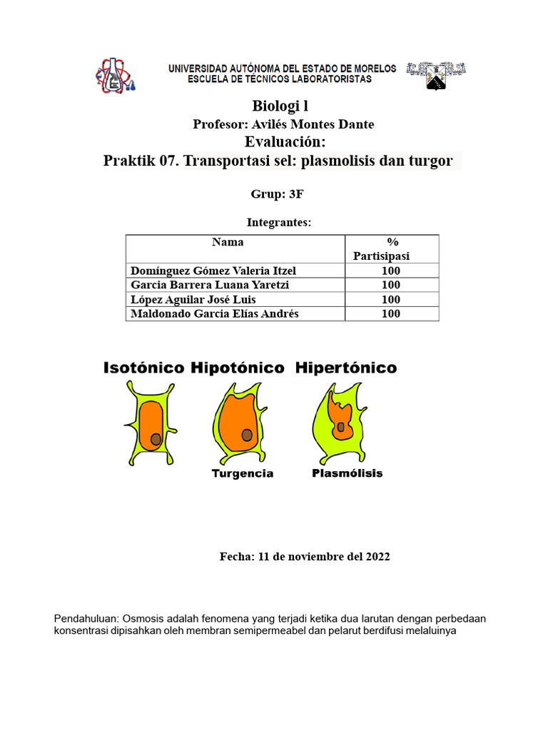 Proses Osmosis: Plasmolisis dan Turgor | PDF