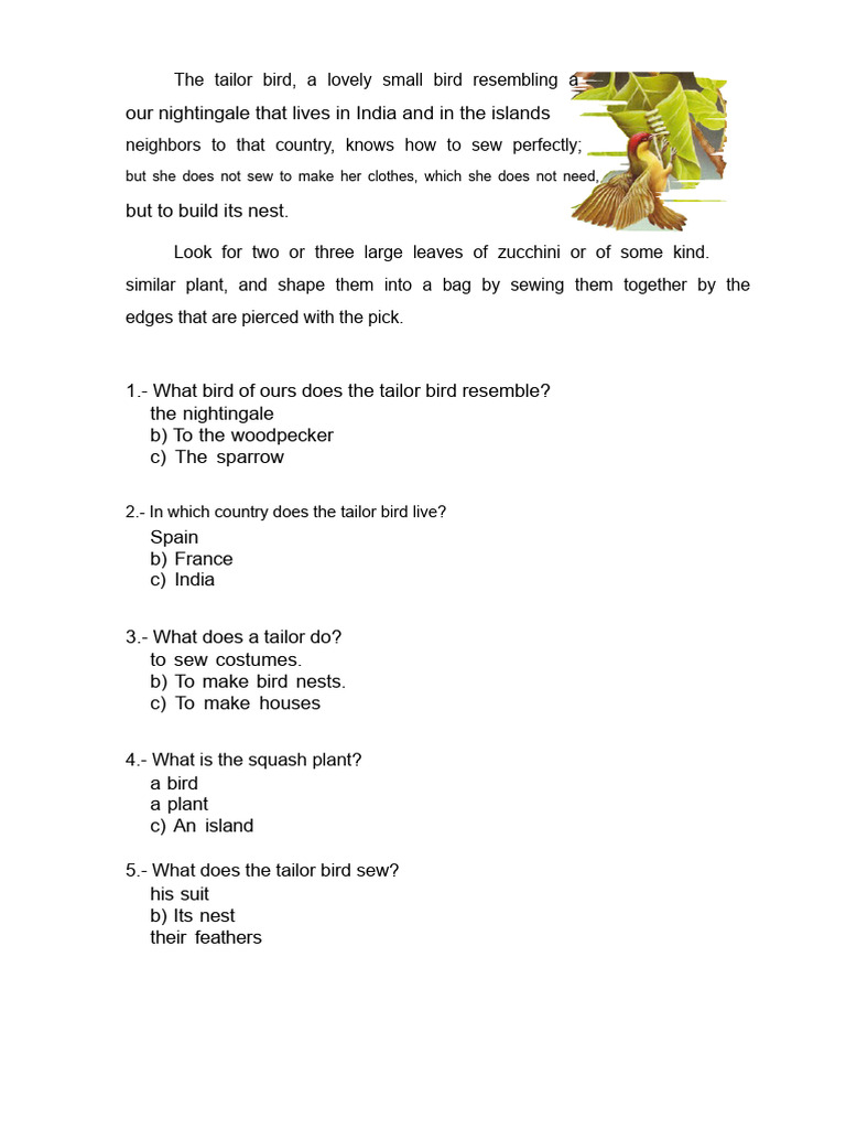 Tailor Bird Nesting Habits Explained | PDF