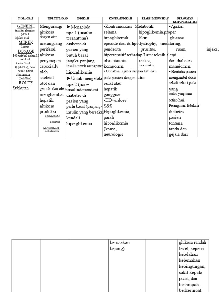 Panduan Lengkap Insulin Glargine | PDF