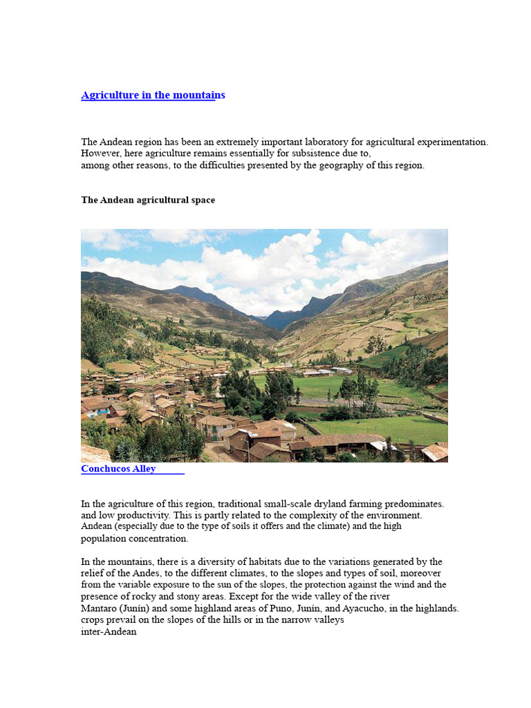 Andean Mountain Agriculture Overview | PDF | Potato | Andes