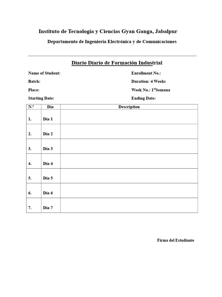 Formato de Diario Diario | PDF