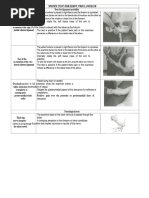 Wrist Flexion Muscle Testing Guide | PDF | Anatomical Terms Of Motion ...