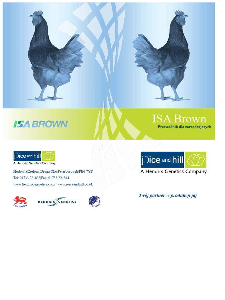 Przewodnik Zarządzania ISA Brown | PDF