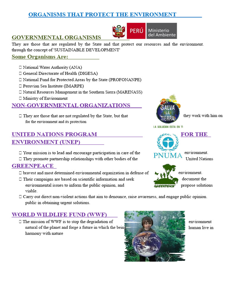 Organizations That Protect The Environment | PDF