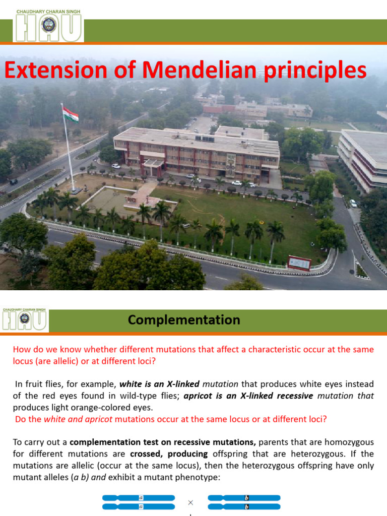 Extension of Mendelian Principles2 | PDF | Dominance (Genetics) | Genotype