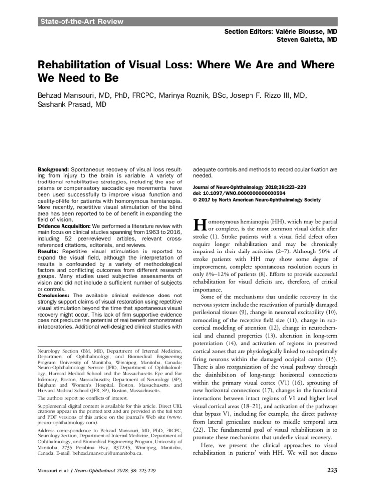 Rehabilitation of Visual Loss Where We Are And.19 | PDF | Visual Cortex ...