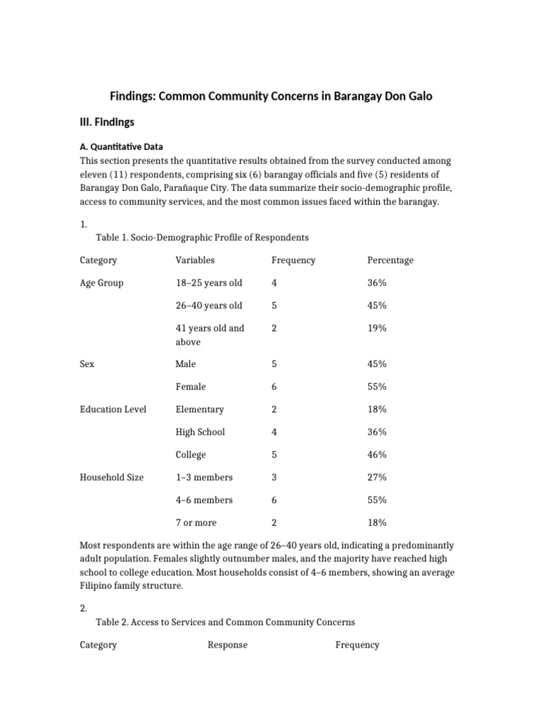 Community Issues in Barangay Don Galo | PDF