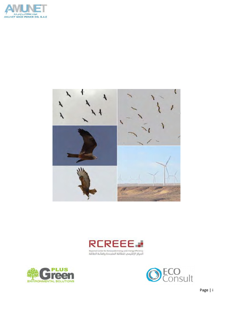 ESIA for Amunet Wind Farm 500 MW | PDF | Bird Migration | Wind Farm