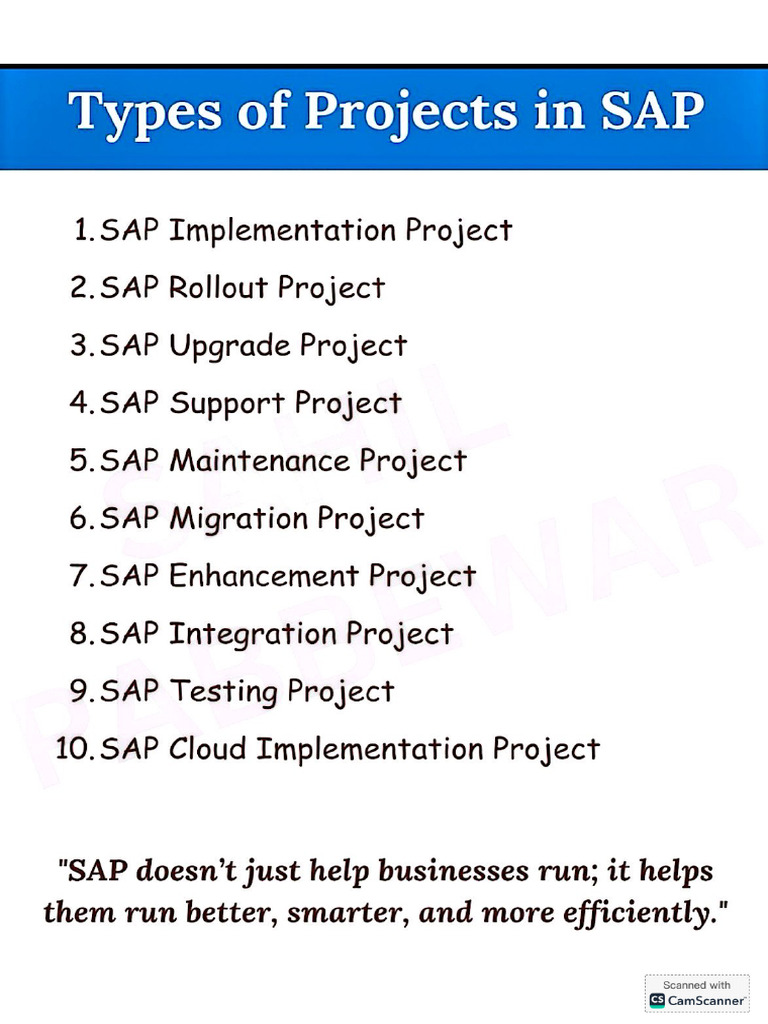Sap Types of Projects | PDF