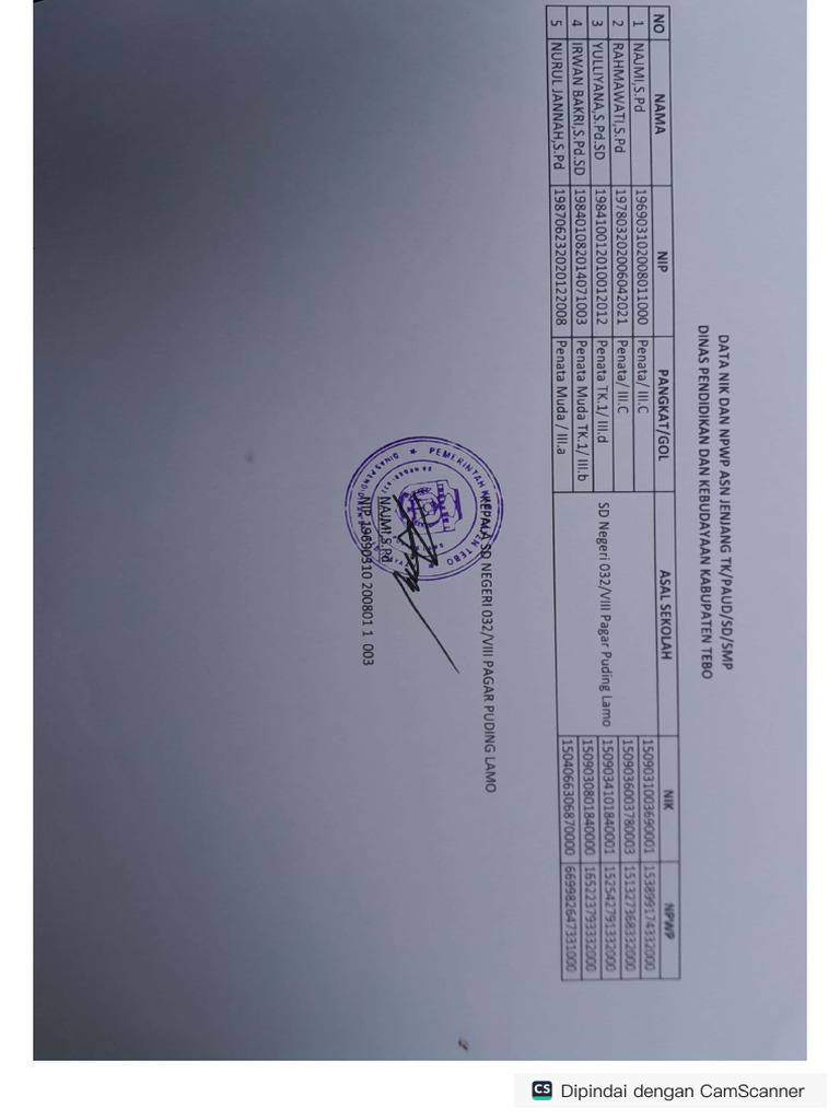 Data Nik Dan NPWP SDN 032 | PDF