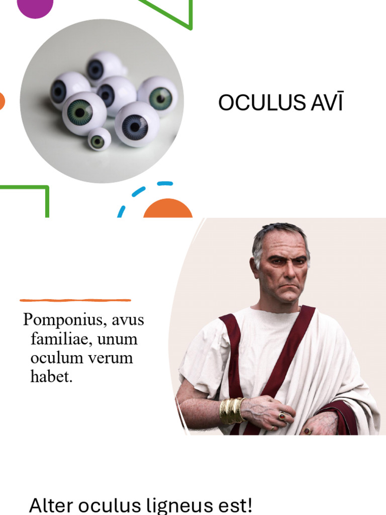 Oculus Avi | PDF