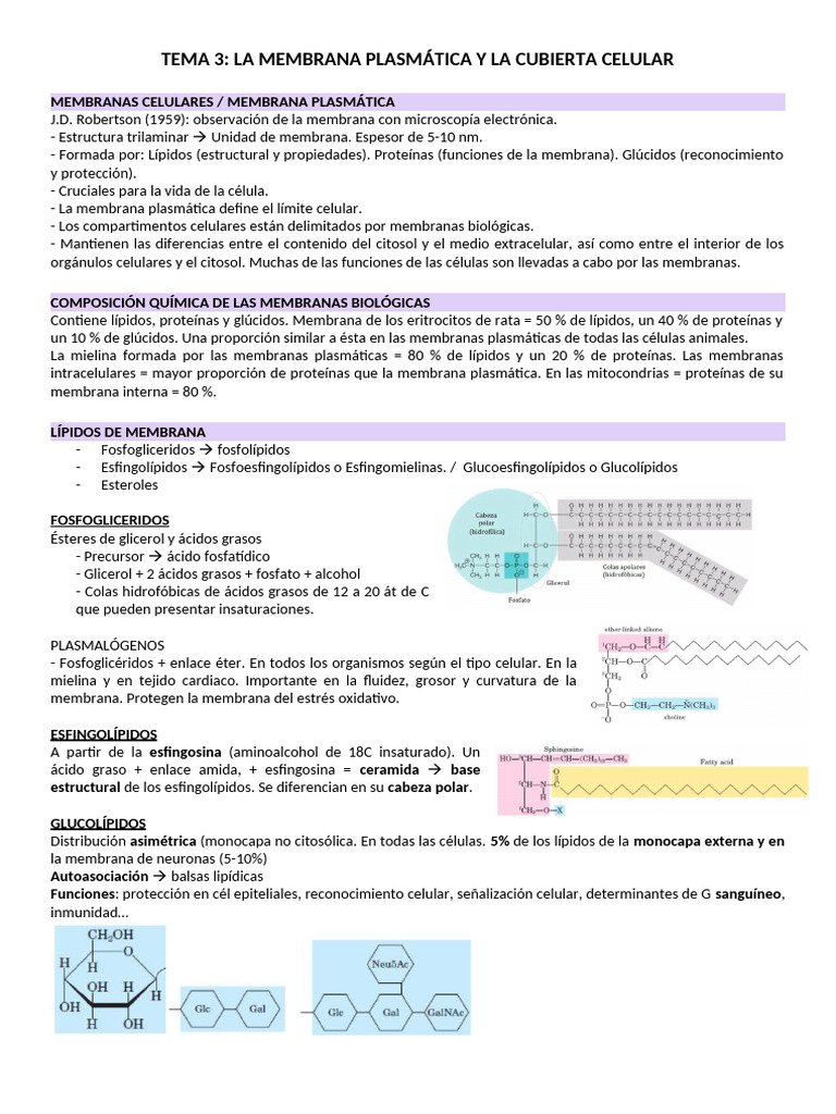 TEMA 3-4 | PDF | Membrana biológica | Membrana celular