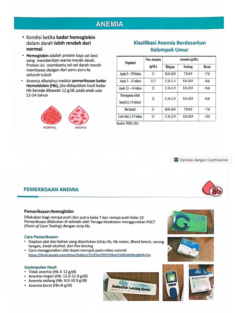 Pemeriksaan Anemia | PDF