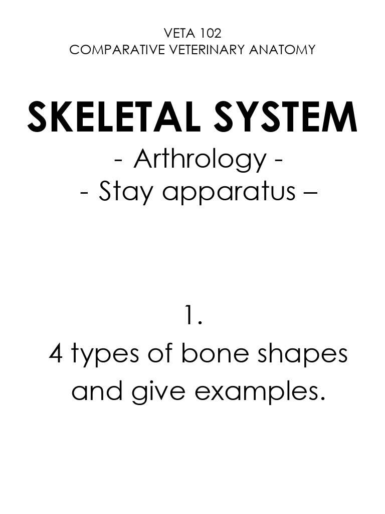 Comparative Veterinary Anatomy: Skeletal System | PDF | Skull ...
