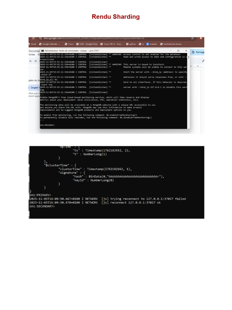 Rendu Sharding | PDF
