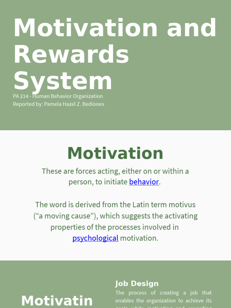 Motivation and Reward System | PDF | Performance Appraisal | Incentive