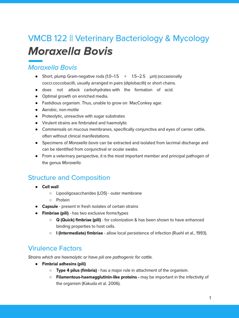 VETERINARY BACTERIOLOGY & MYCOLOGY: Moraxella Bovis | PDF | Infection ...