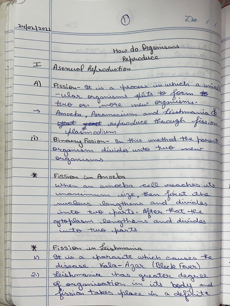 How Do Organisms Reproduce Notes | PDF